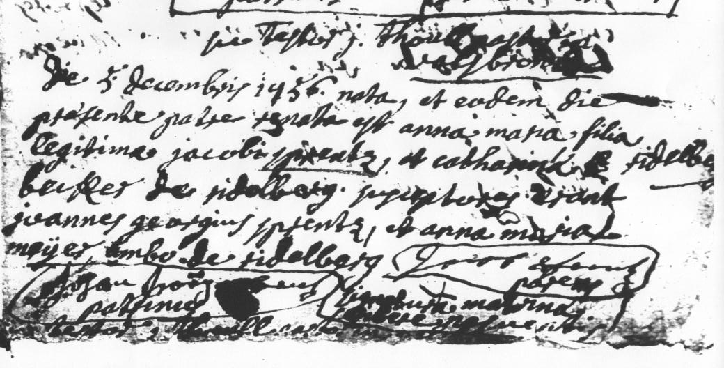 Forum | PolishOrigins :: View topic - Latin records translations