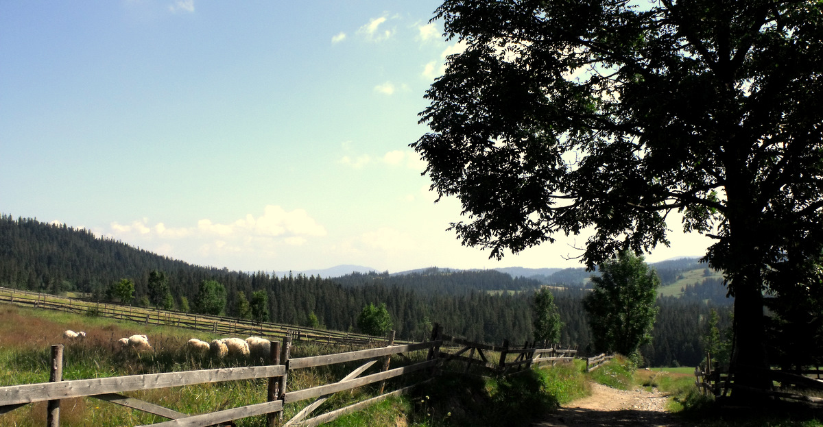 Forum | PolishOrigins :: View topic - Odrowaz near Czarny Dunajec in ...